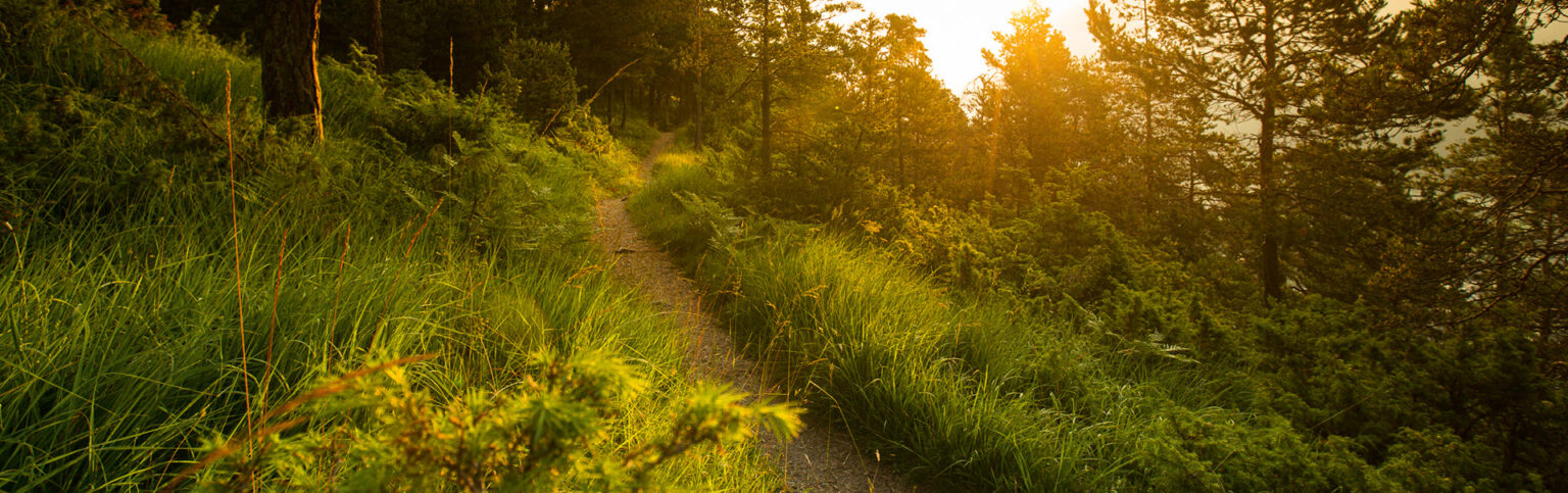 R3 WL VDO Cyclecomputing